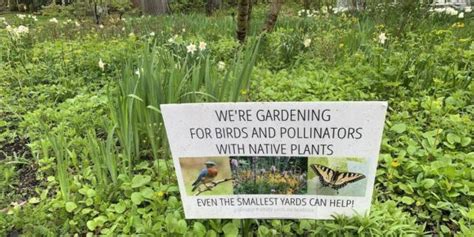 Embracing Harmony Pollinator Friendly Grass On Solar Farms Gordian