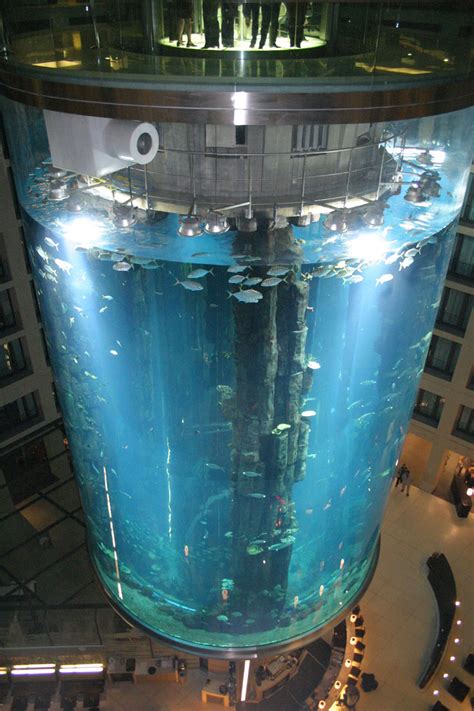 Enormt Akvarium Med 1 500 Exotiska Fiskar I Lyxhotell I Berlin Spricker En Miljon Liter