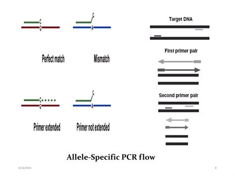 Different Pcr Techniques And Their Application Pptx