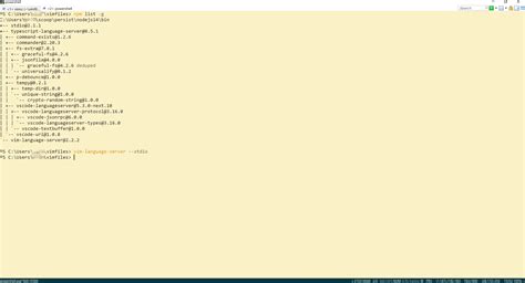 Cocnvim Server Languageservervimls Failed To Start Launching