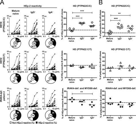 Poly And Self Reactive Antibodies Are Enriched In The Igg⁺ And Iga⁺ B