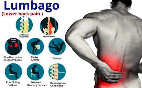 Lumbago Treatment Using Homeopathy With Excellent Results By Dr Makkar Proven Homeopathic