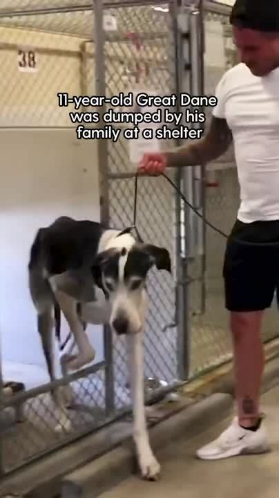 Tom Mcdermott On Linkedin ️👍 ️