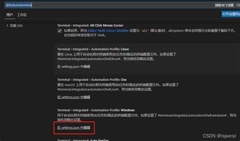 Vs Code 配置终端vs Code终端 Csdn博客