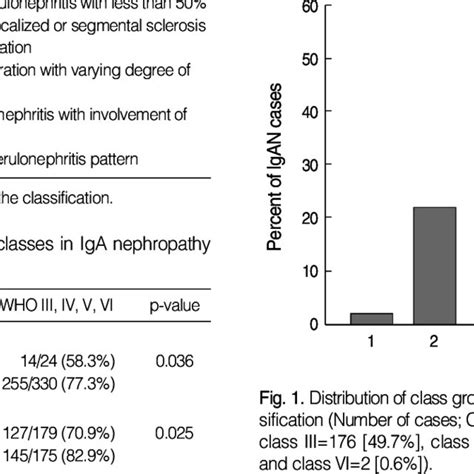 Pdf Iga Nephropathy Correlation Of Who Classification And Morphologic Semi Quantitative