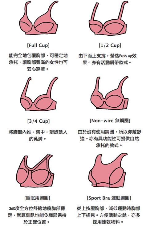 Wacoal Bra Check 來檢查自己的胸圍吧！