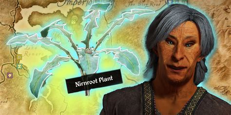 Oblivion Remastered Where To Find Nirnroot For Seeking Your Roots