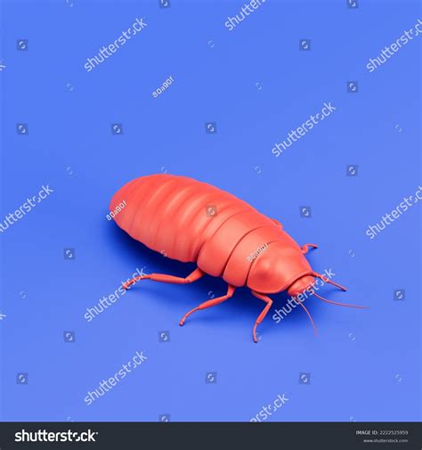 Cockroach Monochrome Single Color Insect Red Stock Illustration