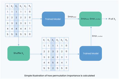 using permutation importance to explain model predictions