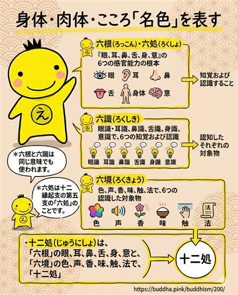 六根（ろっこん）・六処（ろくしょ）、六識（ろくしき）、六境（ろくきょう）、十二処（じゅうにしょ）を わかりやすく 図解で理解 えん坊＆ぼー