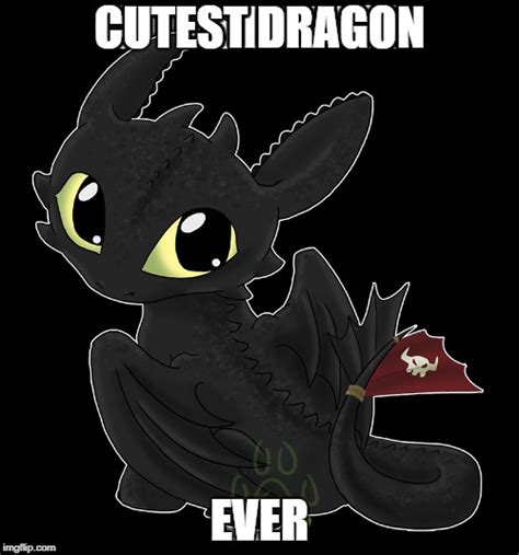 Cutest Dragon Ever Imgflip
