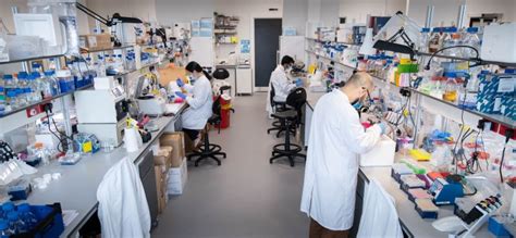 Sara Akkad Posted On Linkedin