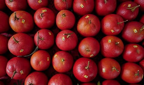 A Grade Andhra Pradesh Red Pomelo Tree At Best Price In Tanuku Id