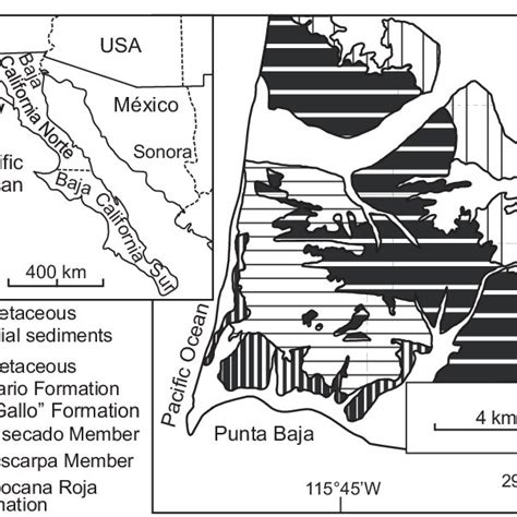 The Sevier Orogenic Belt Is The Major Mountain Building System In