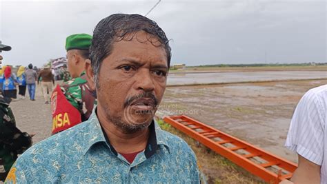 Lahan Rawa Di Ppu Dipandang Lebih Menjanjikan Untuk Pertanian Cahaya Borneo