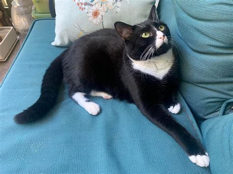 This Is Our Handsome Spicy Boy Asher We Call Him Bubba Though His