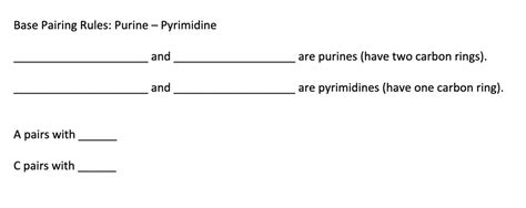Solved Base Pairing Rules Purine Pyrimidine And Are Purines Have Two