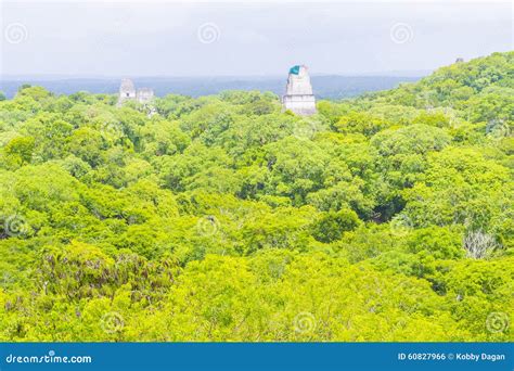 Tikal National Park Editorial Image 60827966