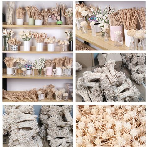 Jual Isi 10pcs Dowel Kayu Ramin Diameter 6mm Panjang 30cm Stik Kayu Bulat Buket Bunga Kb53