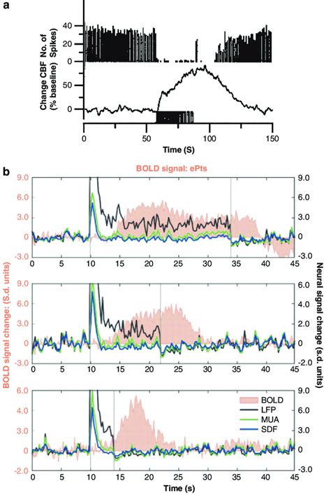 A B Cbf And Bold Responses Correlate With Lfps A Activity Dependent