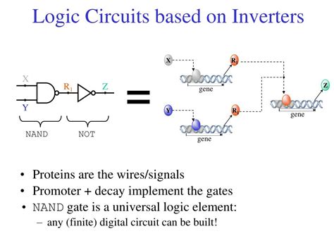 Ppt Cellular Computation And Communications Using Engineered Genetic Regulatory Networks