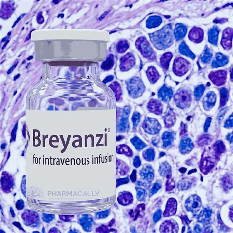 Fda Approves Breyanzi As First Car T Cell Therapy For Relapsed