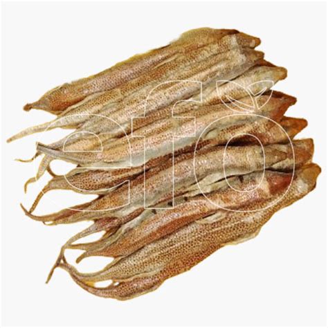 Sandalwood Raig Mahiریگ ماہی Arpansar