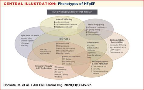 Jaccimg Editors Insights Have Heard You Heard The H2fpef Score For