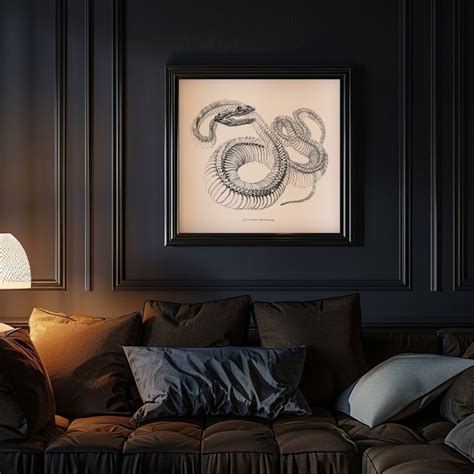 Vintage Boa Constrictor Snake Skeleton 1800s Science Illustration