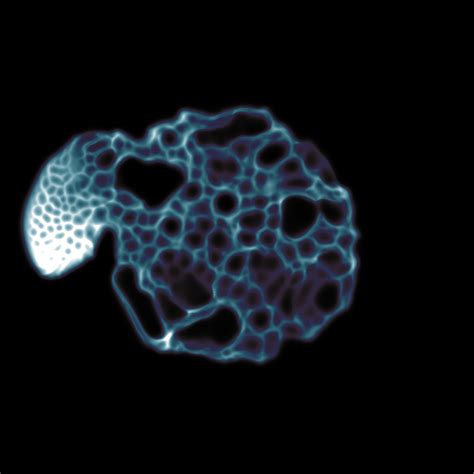 growth r generative