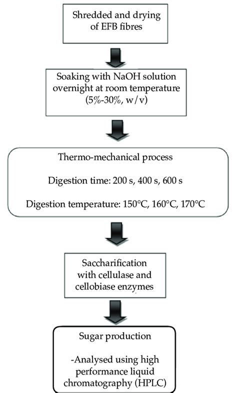 The Flow Chart Of The Experiments Download Scientific Diagram