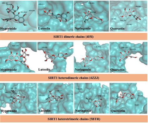 Overall Views Of The Molecular Docking Result From The Interaction
