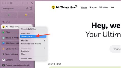 How To Share Folders Spaces And Split Views In Arc Browser