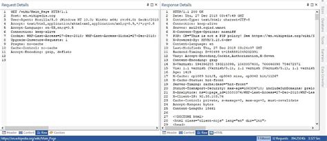 Network Packet Analyzer Drgai
