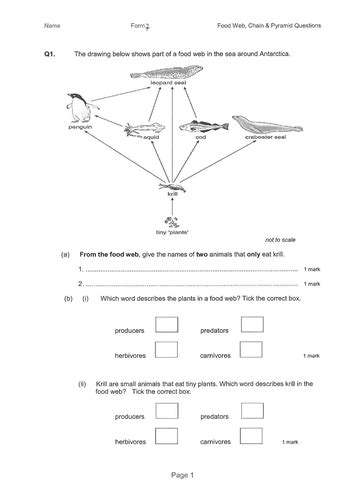Classification A Complete Set Of Resources For Year 7 Teaching