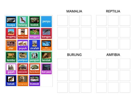 Mamalia Amfibia Reptilia Burung Tchroliviar Star1kk Group Sort
