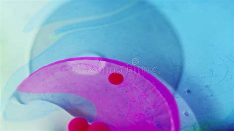 Paint Bubble Ink Water Blue Pink Sphere Floating Stock Footage Video