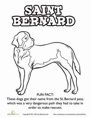 Saint Bernard Worksheet