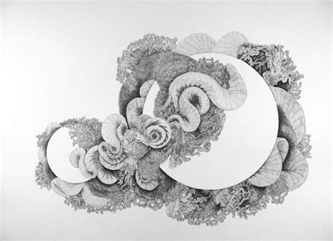 Introducing Beth Brown — Patternbase