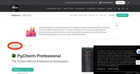 PyCharm开发工具的安装和基础使用 pycharm the python ide for professional developer CSDN博客