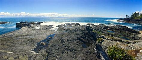 Port Renfrew Tourism 2021 Best Of Port Renfrew British Columbia
