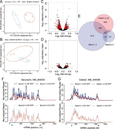 Figure 1 From Optimization Of Ribosome Profiling Using Low Input Brain Tissue From Fragile X