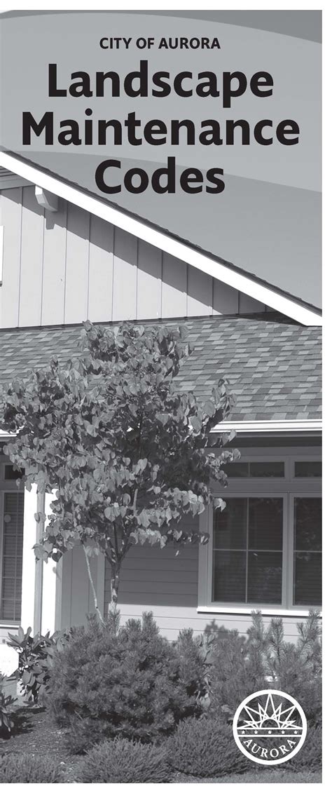 Code Enforcement City Of Aurora