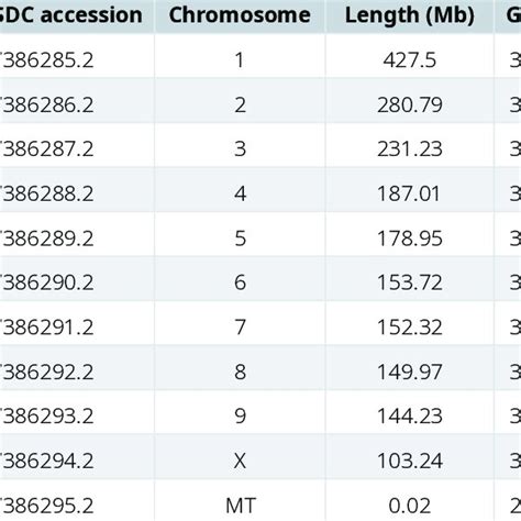 Chromosomal Pseudomolecules In The Genome Assembly Of Rutpela Maculata