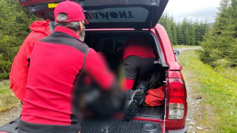 Cioban Găsit Mort în Munte Gorjonline Zi De Zi Informați