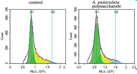 Detection Of Cell Cycle By Flow Cytometry Download Scientific Diagram