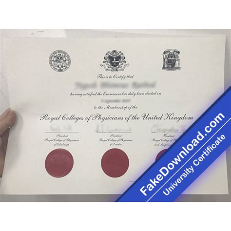 Mrcp University Template Psd Psd Fake Download