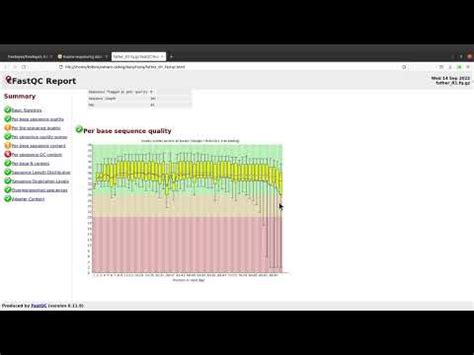 FastQC And MultiQC Report Explained Episode YouTube