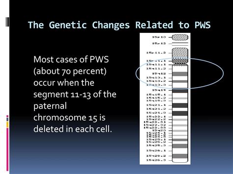 Ppt Prader Willi Syndrome Powerpoint Presentation Free Download Id 2678656