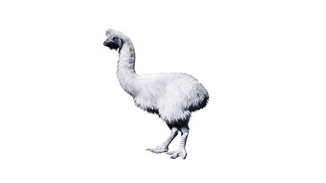 Arctic Moa Icarus Wiki Fandom